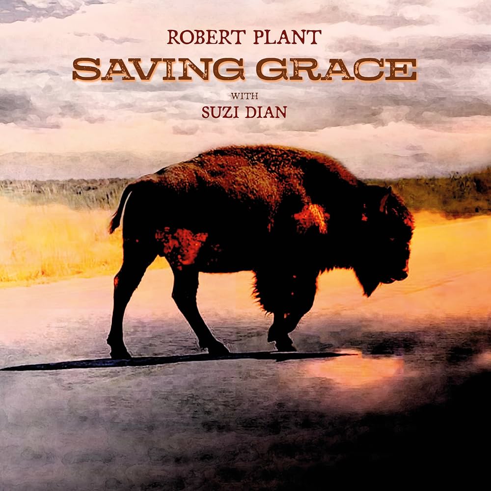 ROBERT PLANT - SAVING GRACE (WITH SUZI DIAN) - VINYL LP – Rock & Roll ...
